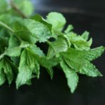 Mint Vinaigrette Recipe - The Lunch Box Ladies